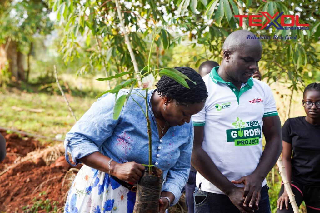 🌱 Texol Garden Project – Texol